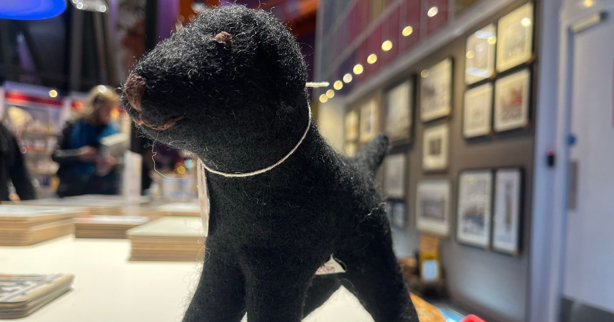 Jack the dog | Lowry